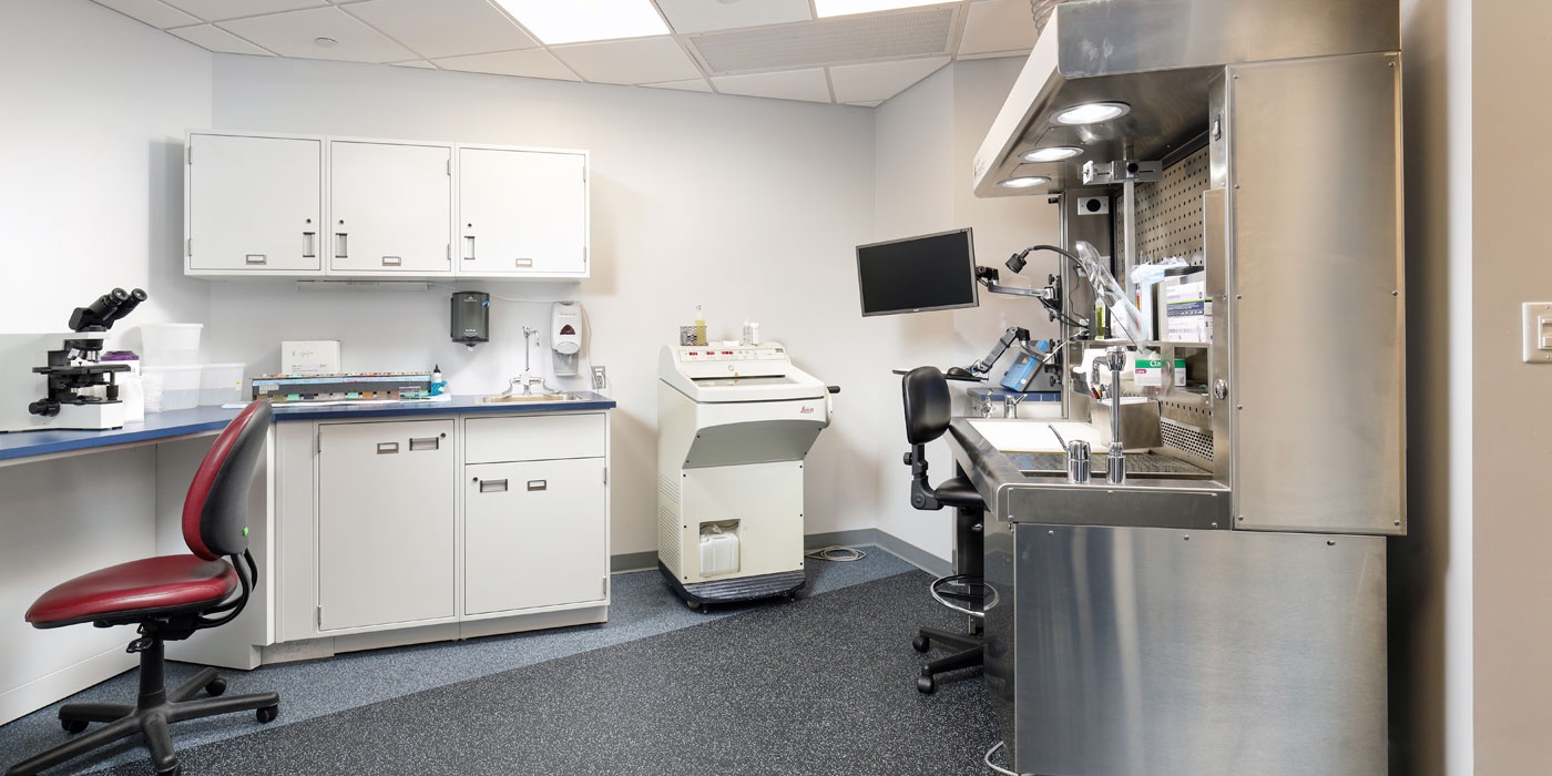 Our Work | Butler Hospital Anatomical Pathology Lab